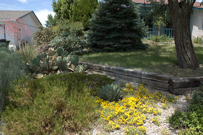 Xeric Gardens
